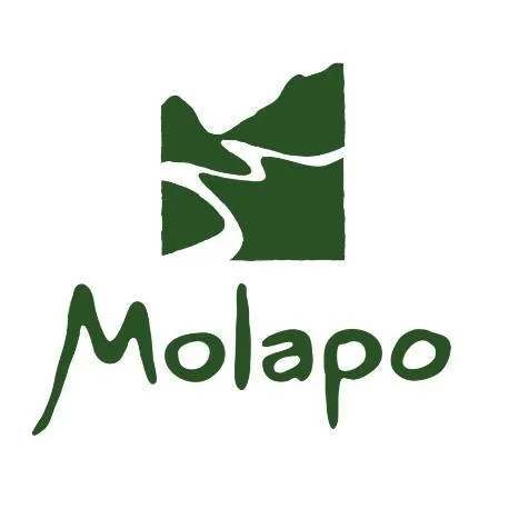 MOLAPO SAFARI - Pets24.co.za | Services Directory