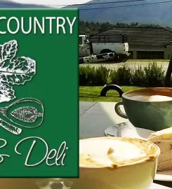 HOEKWIL COUNTRY CAFE - Pets24.co.za | Services Directory