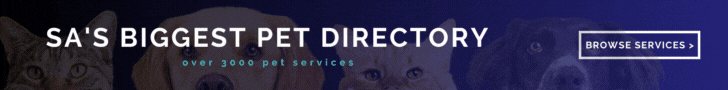 South Africa's No. 1 Destination For Everything Pets- Pets24