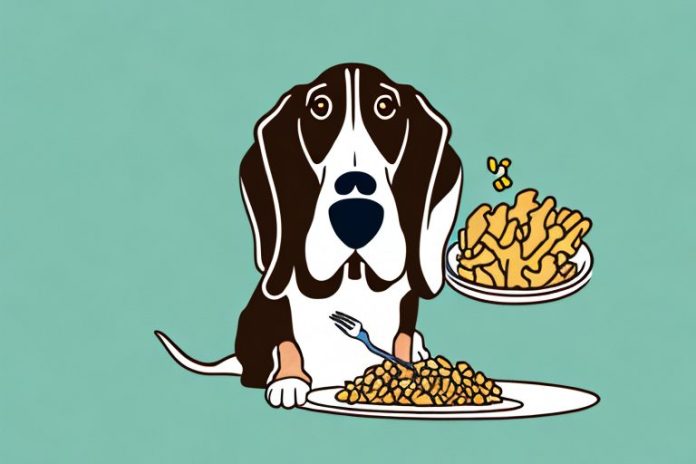 Basset Hound Dog Food in Greater Pretoria - Pets24