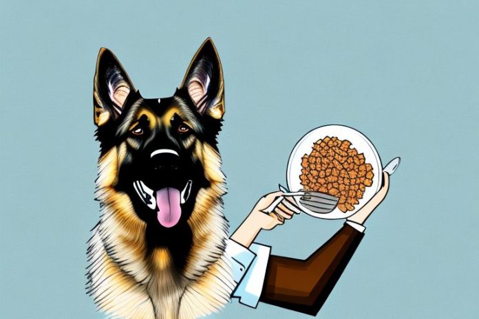German Shepherd Dog Food in Port Shepstone - Pets24