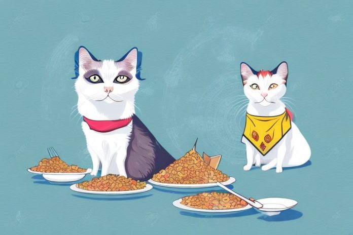 Balinese Cat Food in Cape Town - Pets24