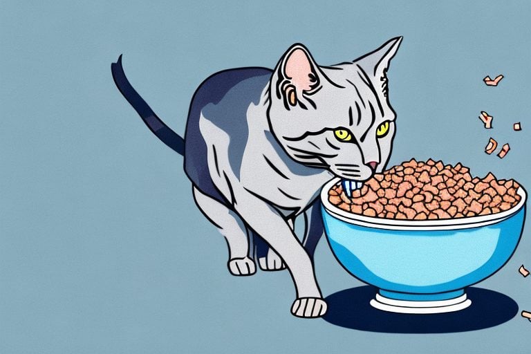 Russian Blue Cat Food - Pets24