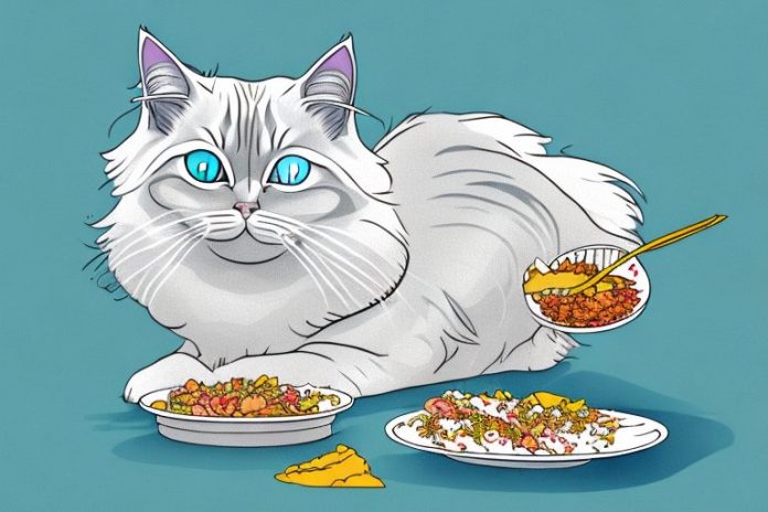 Birman Cat Food in Jeffreys Bay - Pets24