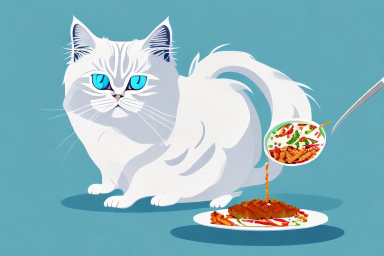 Birman Cat Food in Cape Town - Pets24