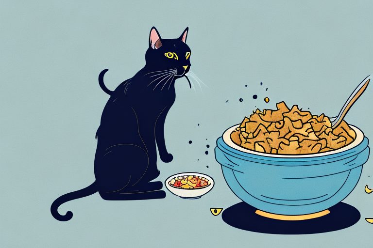 Bombay Cat Food in Port Elizabeth - Pets24