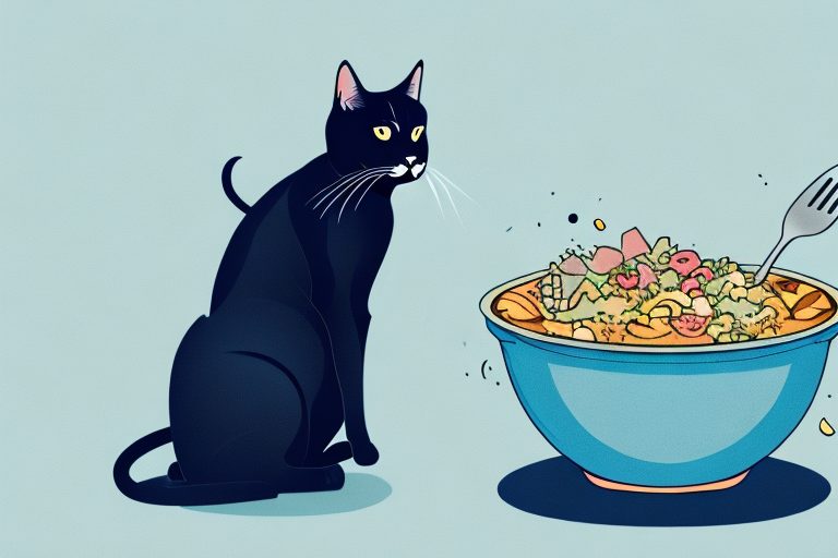 Bombay Cat Food in Queenstown - Pets24