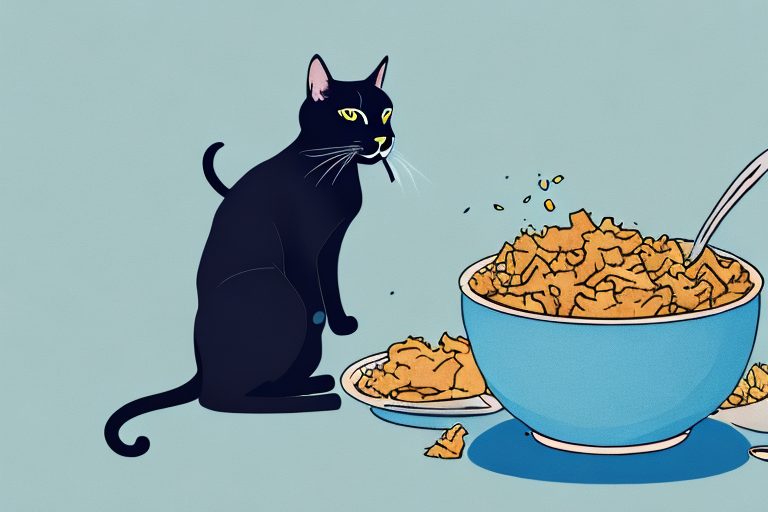 Bombay Cat Food in Somerset West - Pets24