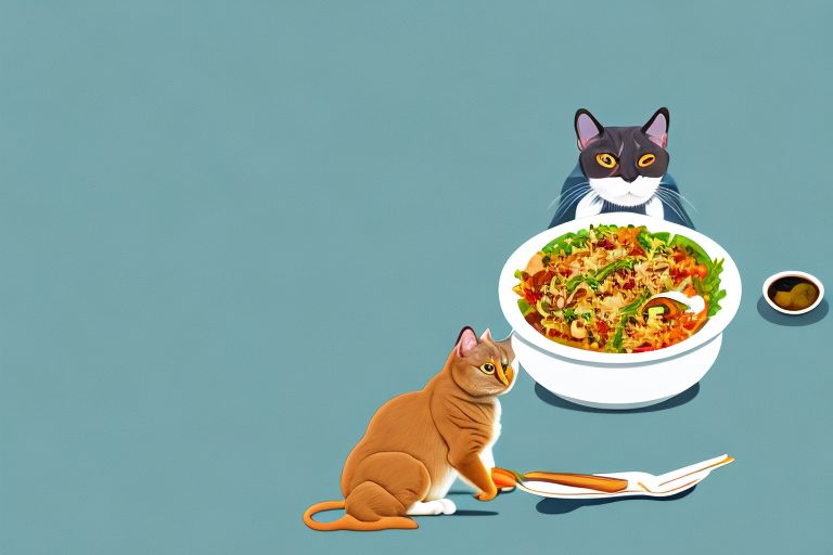 Burmese Cat Food in Richards Bay - Pets24