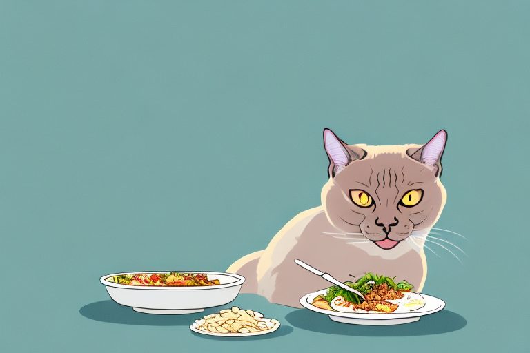 Burmese Cat Food in Umhlanga - Pets24