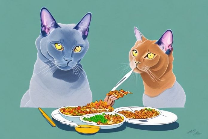 Burmese Cat Food in Kroonstad - Pets24