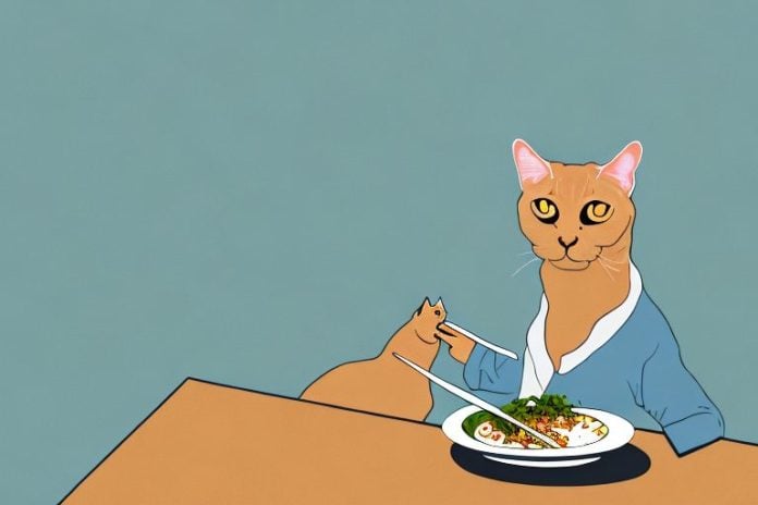 Burmese Cat Food in Bethlehem - Pets24