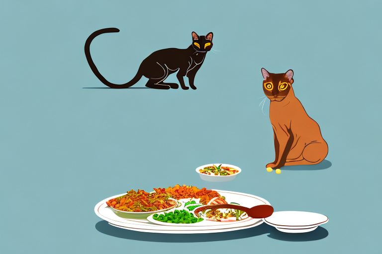 Burmese Cat Food in Johannesburg - Pets24