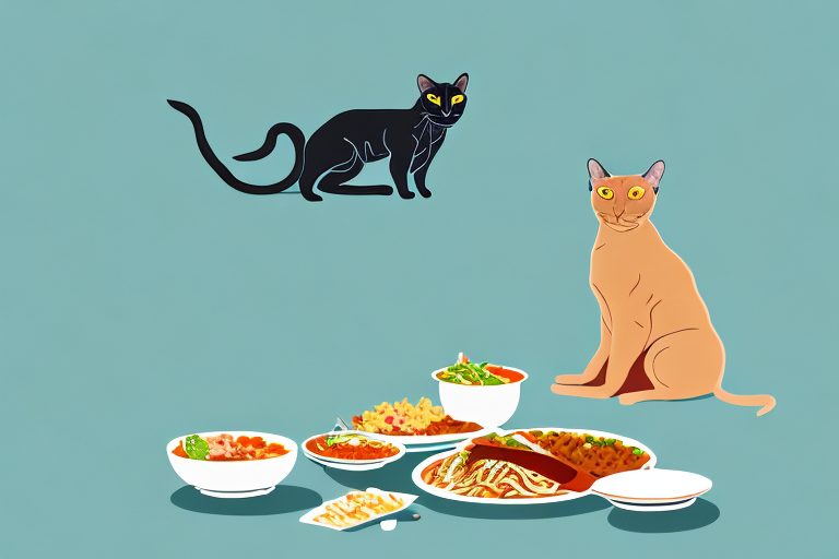 Burmese Cat Food in Pretoria - Pets24
