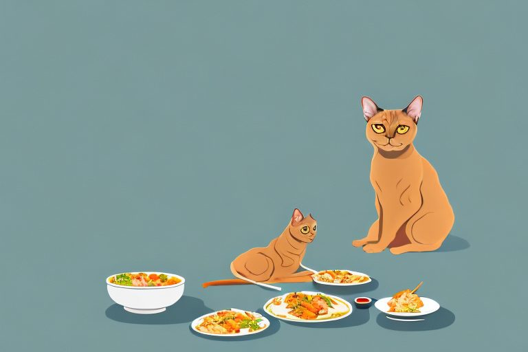 Burmese Cat Food in Greater Pretoria - Pets24