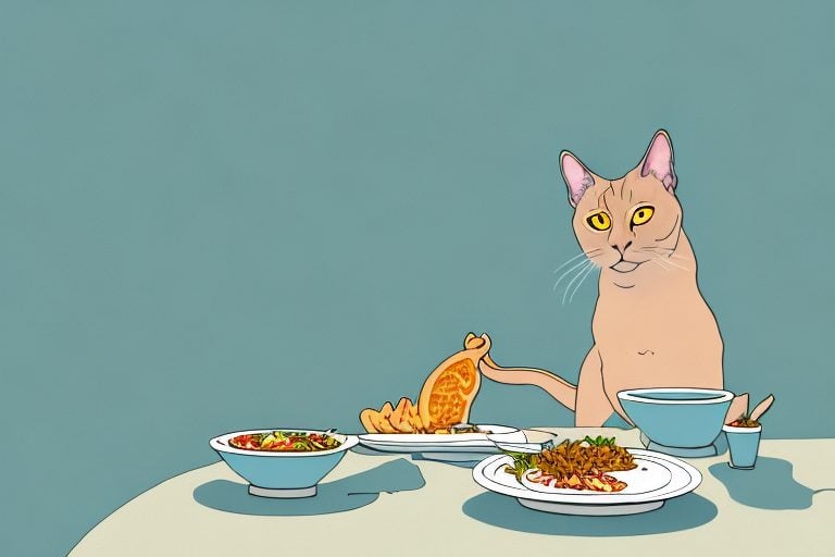 Burmese Cat Food in Vereeniging - Pets24