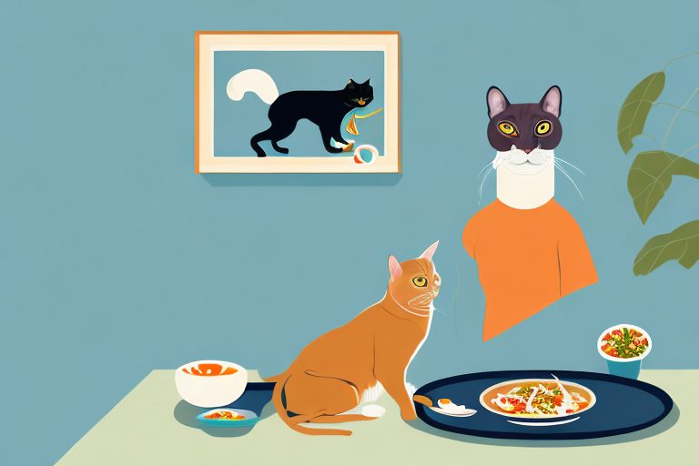 Burmese Cat Food in Roodepoort - Pets24