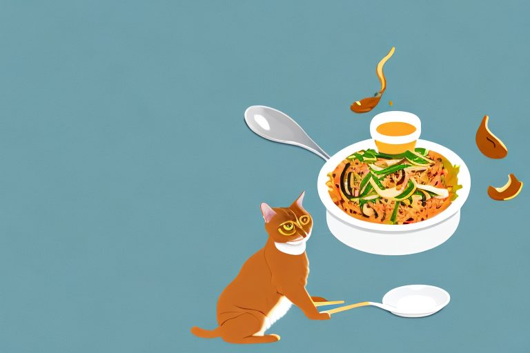 Burmese Cat Food in Witbank - Pets24