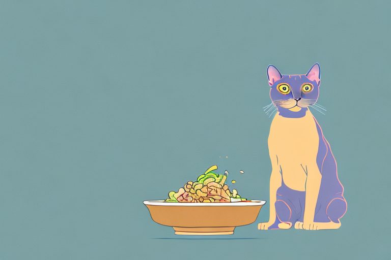 Burmese Cat Food in Kuruman - Pets24