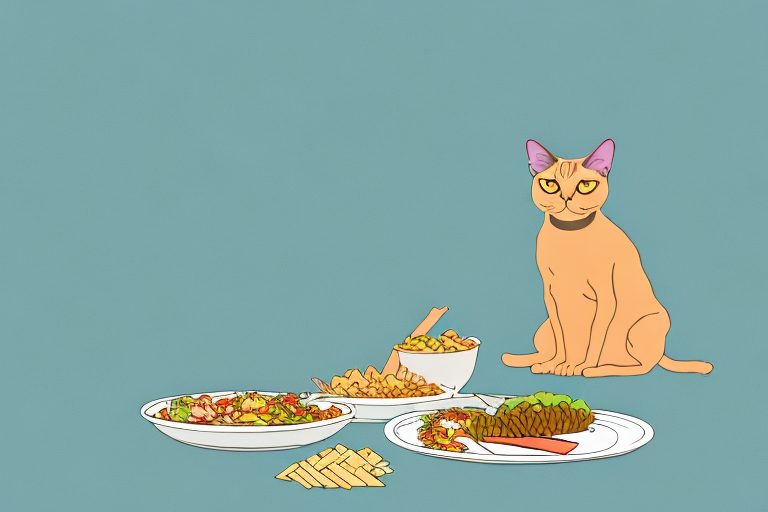 Burmese Cat Food in Vryburg - Pets24