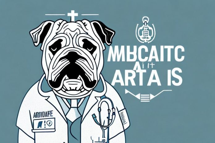 Bulldog Dog Medical Aid in Barberton - Pets24